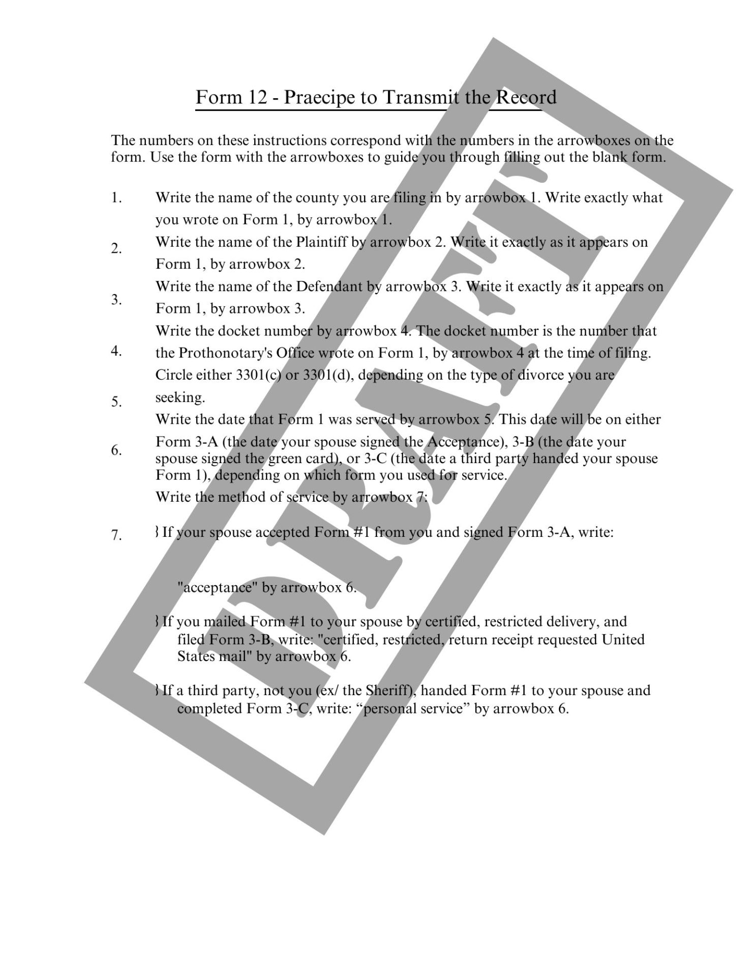 Form 12 Praecipe to Transmit the Record: Download in PDF